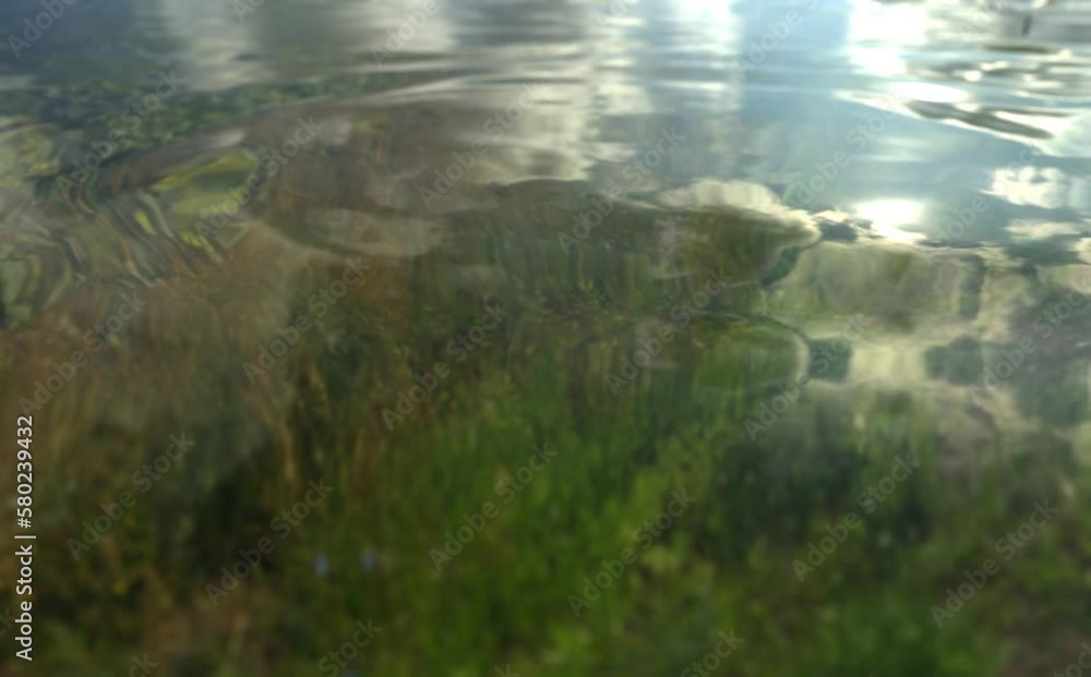 Raindrops falling on water and making ripples on surface. Water surface ...