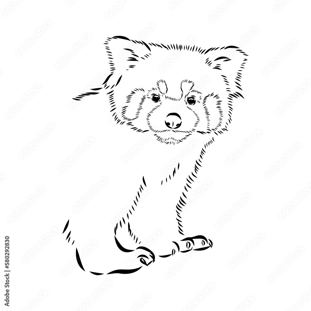 Cute red panda. Cartoon animal design. Vector illustration isolated on ...