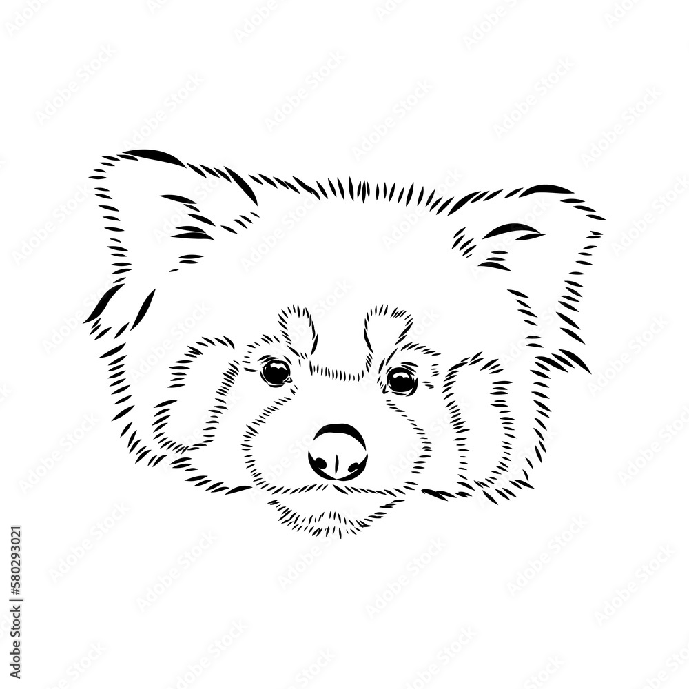 Cute red panda. Cartoon animal design. Vector illustration isolated on ...