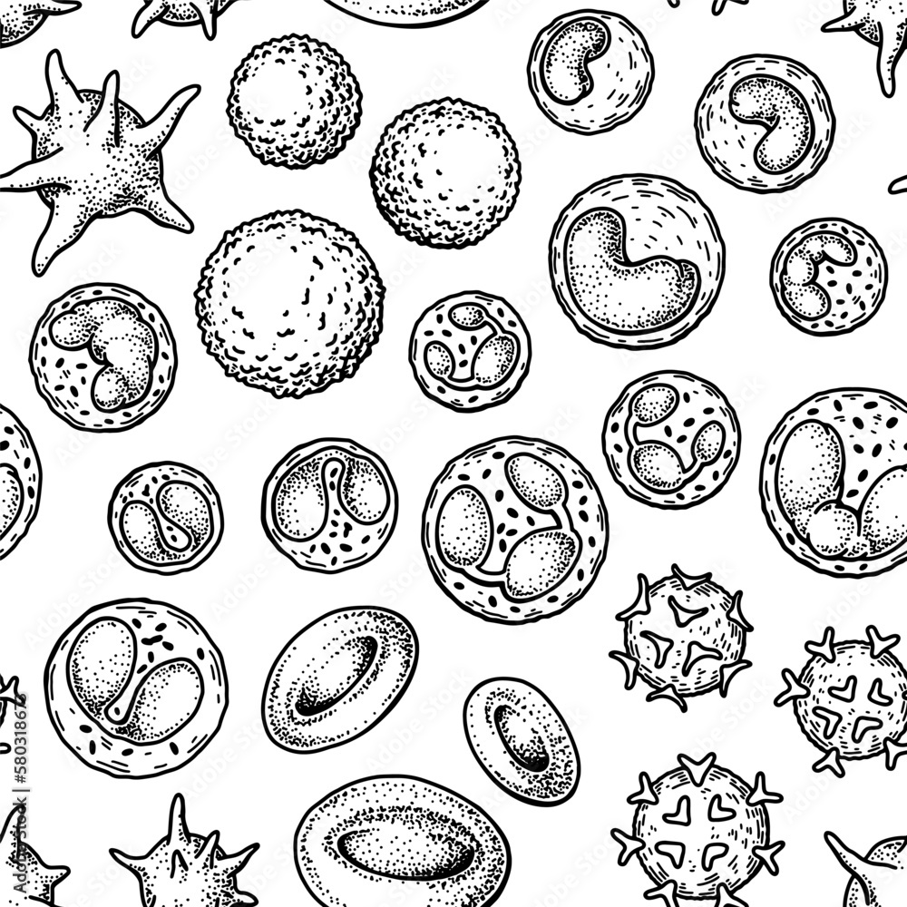 Blood cells seamless pattern. Hand drawn erythrocytes, leukocytes and ...