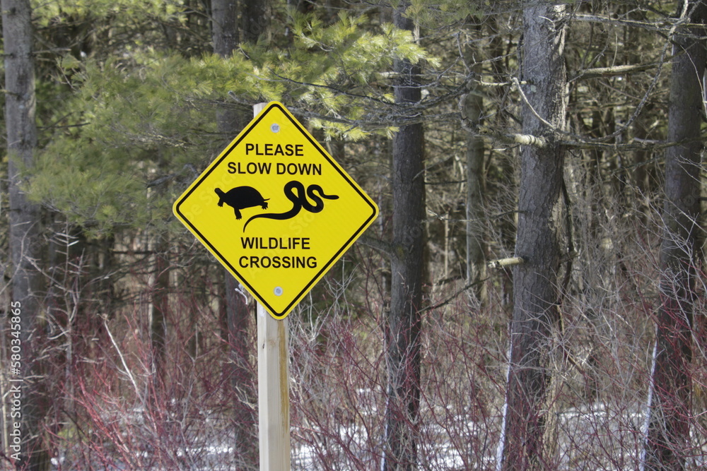 wildlife crossing sign Stock Photo | Adobe Stock