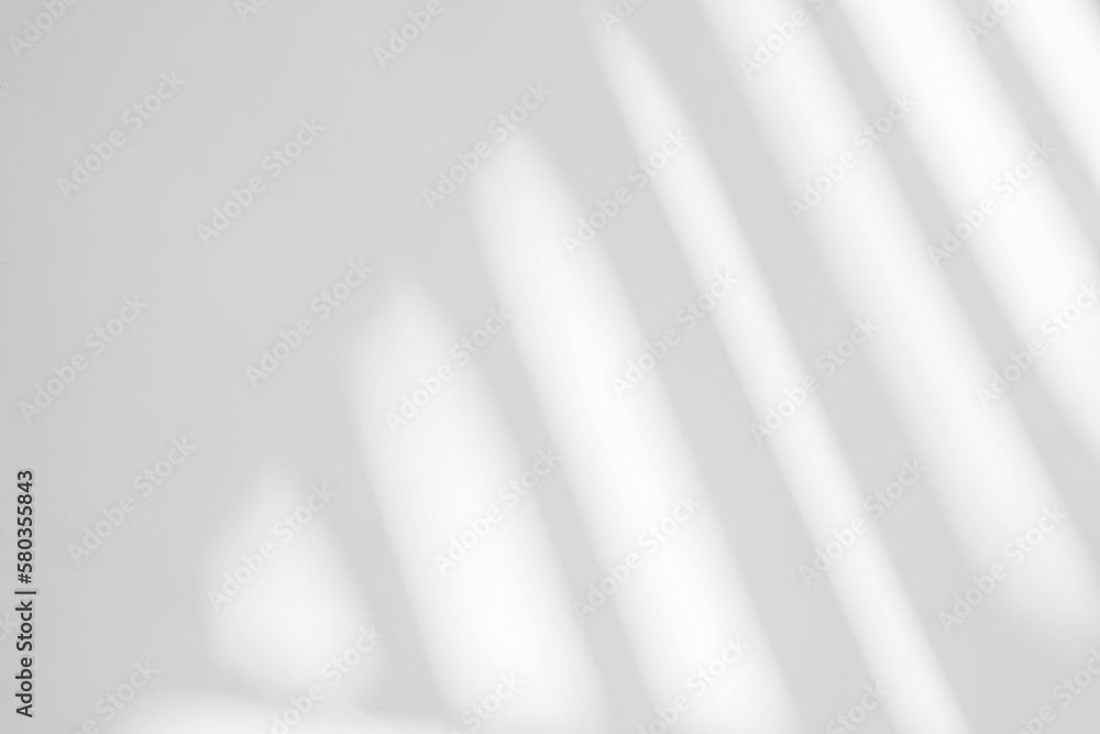Gray shadow and light blur abstract background on white wall from ...