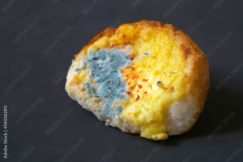 waste of bread, scarcity of food in the world, global hunger, Stock ...