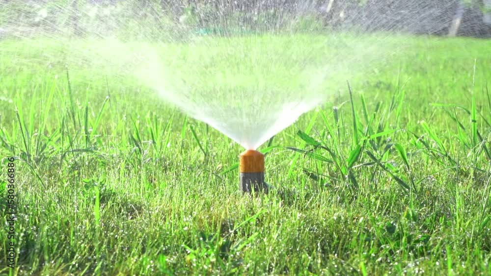 Sprinkler head watering green grass lawn. Gardening concept. Smart ...