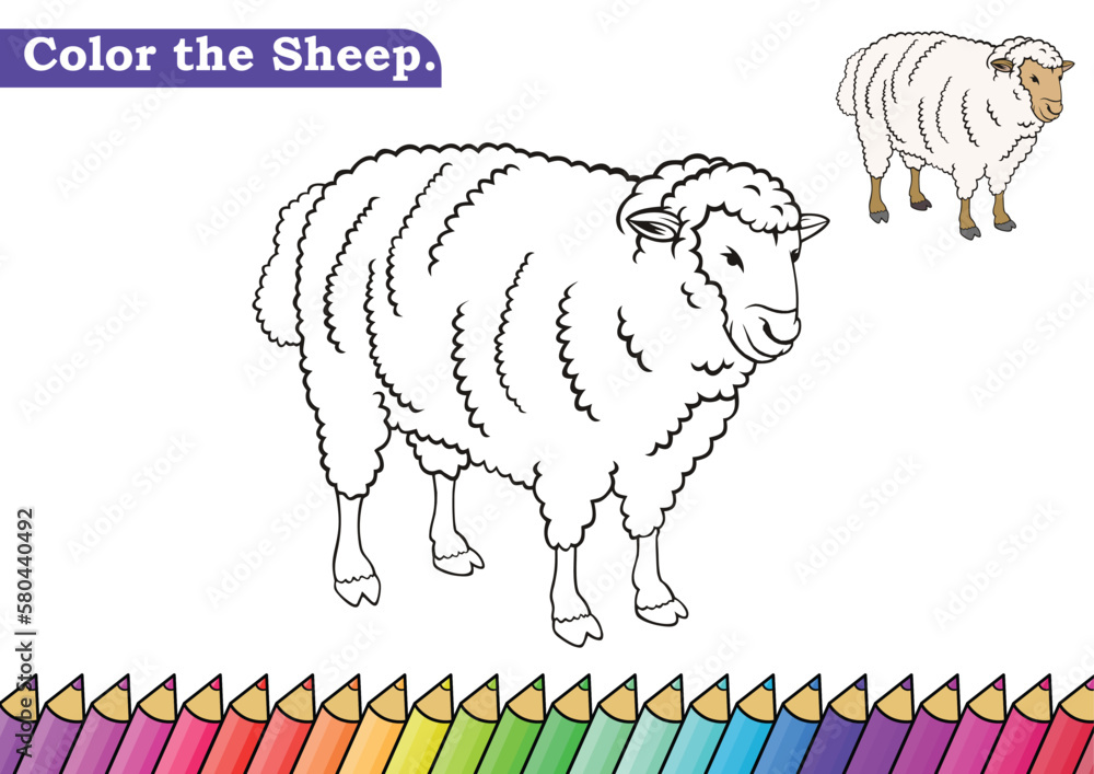 Sheep coloring page. isolated coloring book. color pages for kids ...