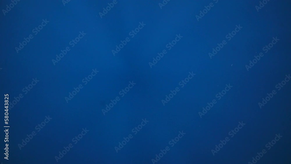 Beautiful view of underwater world blue abyss in slow motion ...