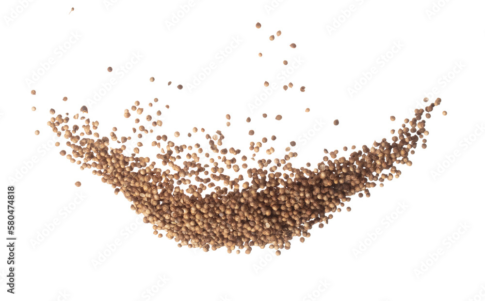 Coriander seed fly explosion, brown coriander seed float explode ...