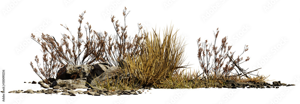 desert scene, dry plants with rocks, isolated on transparent background ...