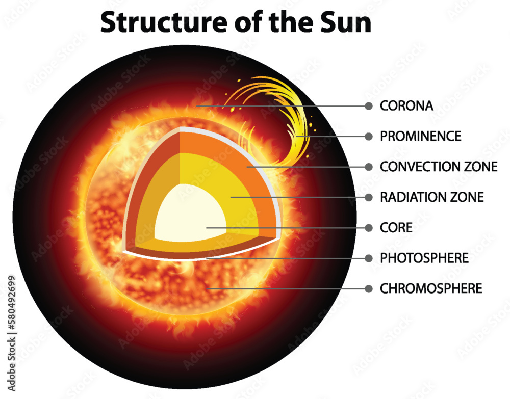The Structure of the Sun Stock Vector | Adobe Stock