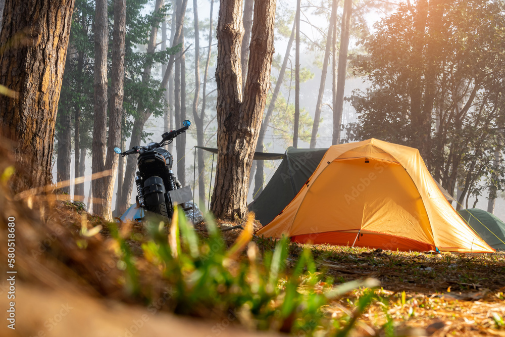 Camping Tents in Nature background with sunrise and light flare in ...