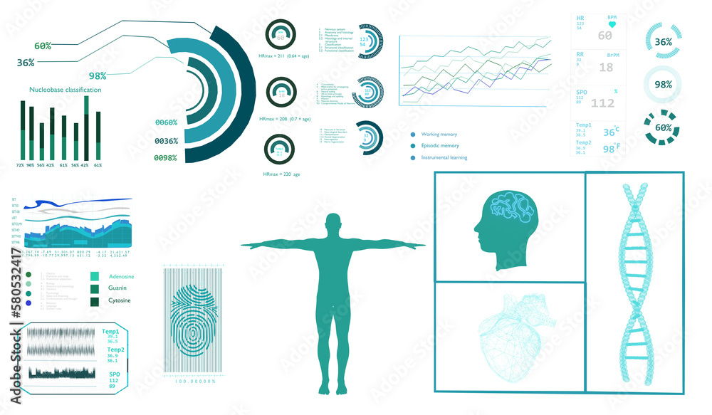 Interface set medical examination scanner human anatomy.Design for ...