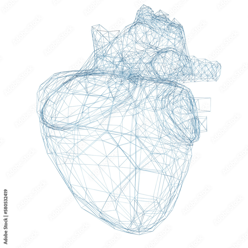 Human heart anatomy elements with blue wireframe with connected poly ...