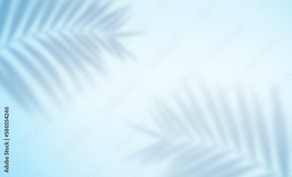 blurry summer background with shadows from palm leaves on a light blue ...