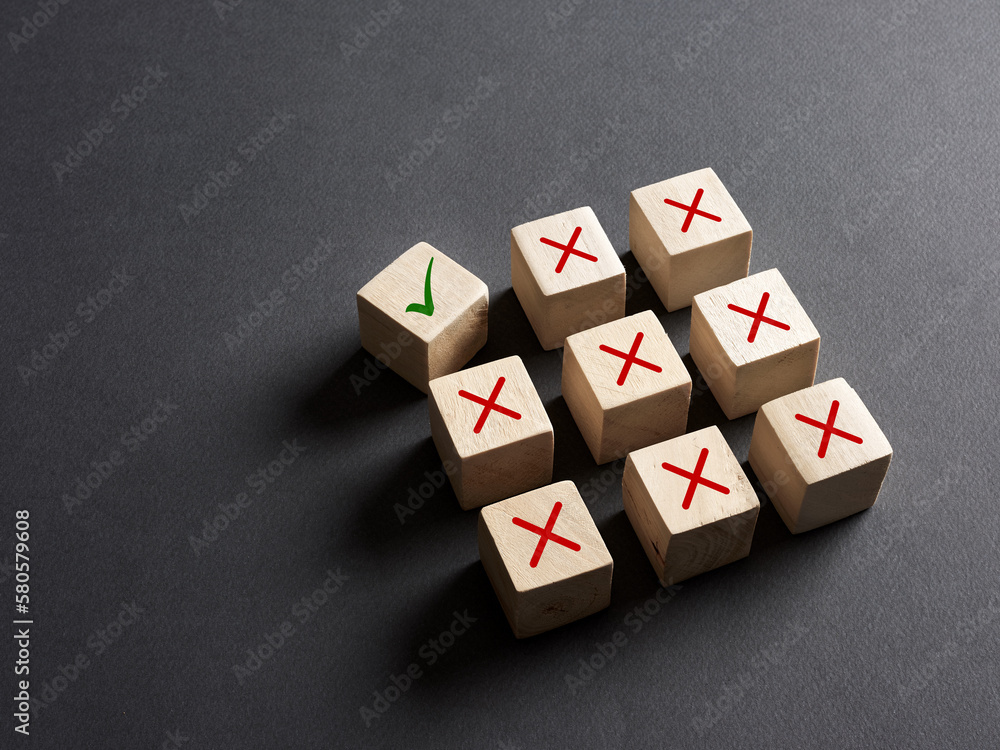 Choosing the right option, voting yes or approval concept. Check mark ...