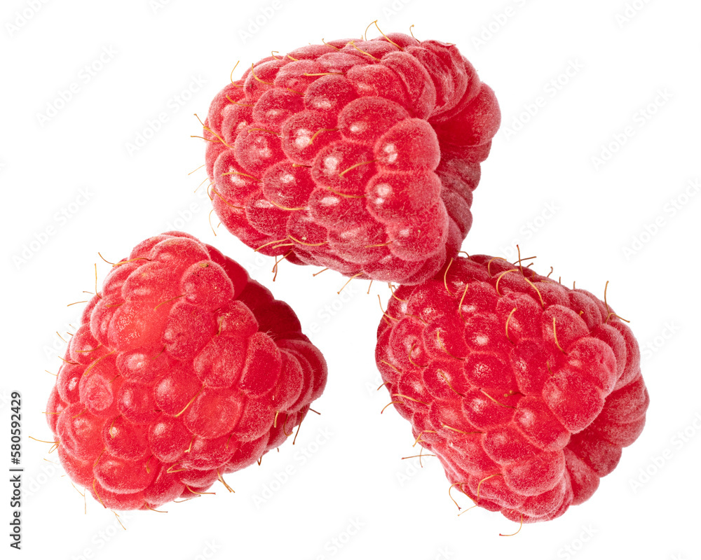 ripe raspberry on transparent background. png file Stock Photo | Adobe ...
