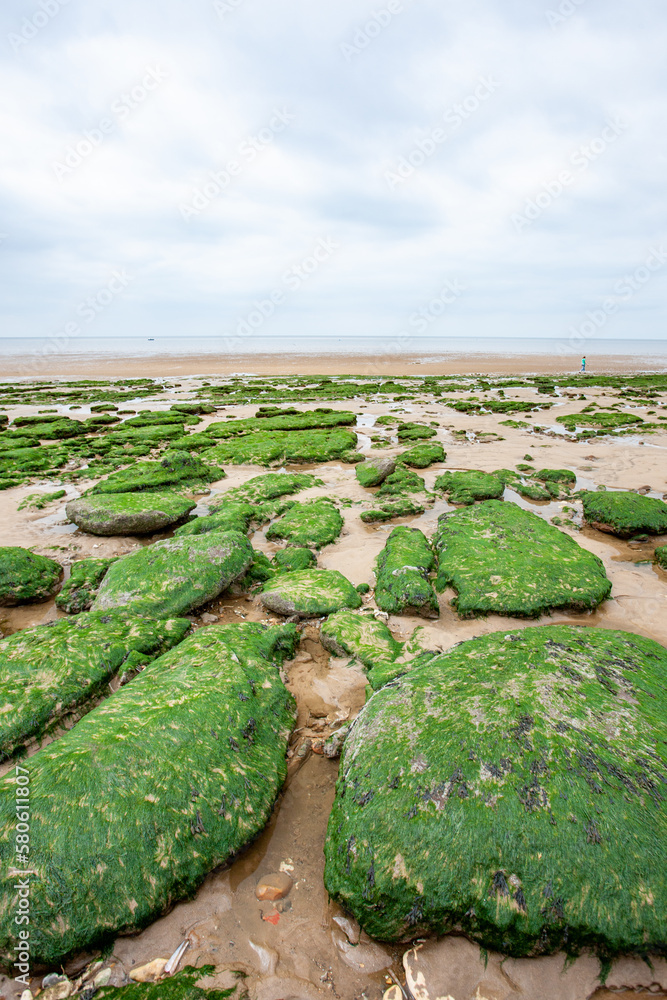 Foto de Low Tide, East Anglia coast, England, UK. A view of the sandy ...