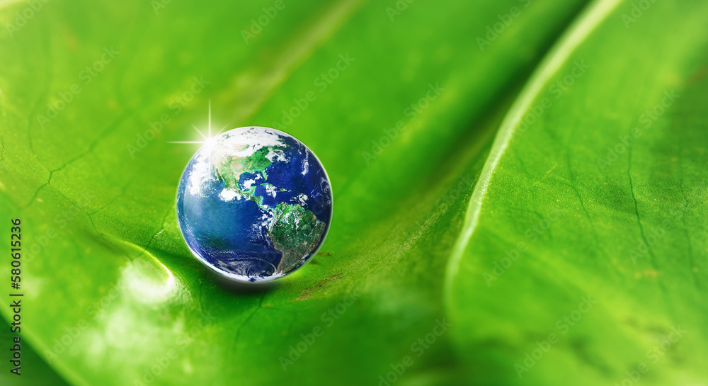 Globe Earth on green leaf, Nature and environment earth day concept ...