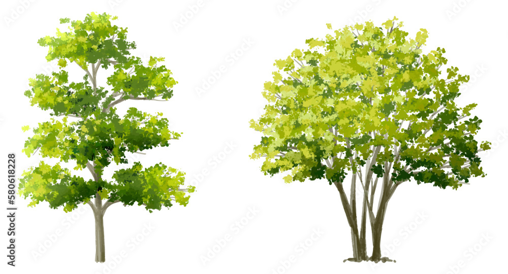 Vector green tree isolated on white background,watercolor painting for ...