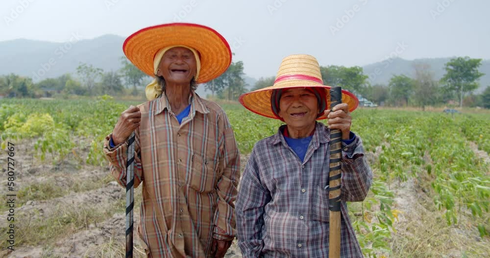Two happy smiling and laughing Asian farmers who are elderly farmers ...