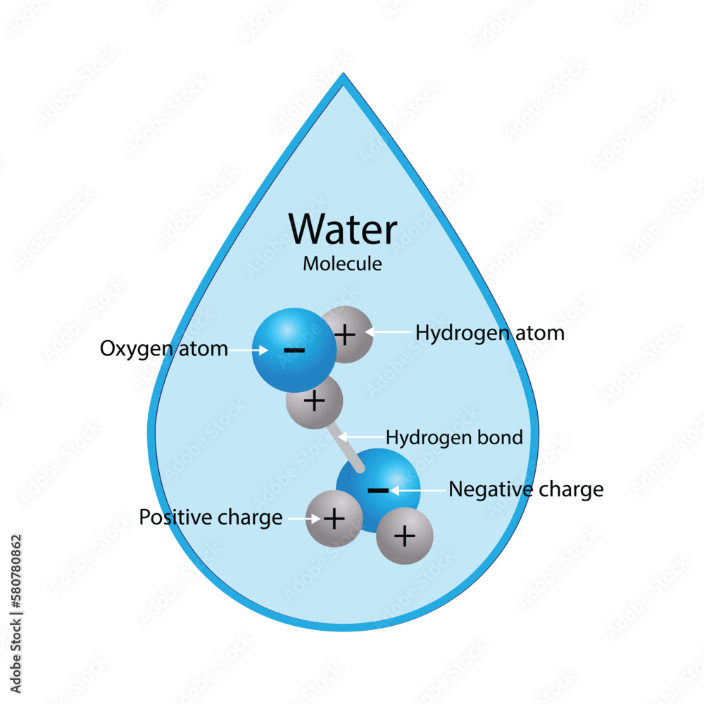 illustration of chemistry, water molecular model formulas, Water is a ...