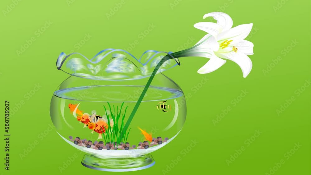 goldfish in bowl background and 2d animated, fishtank,, fishes in bowl ...