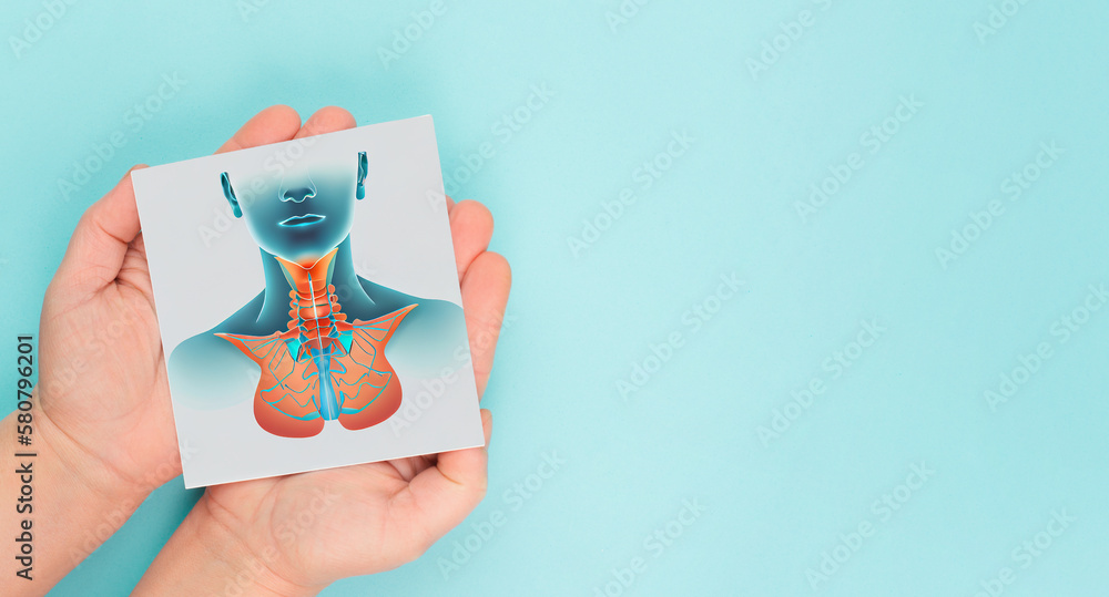 Holding thyroid gland organ in the hands, hyperthyroidism and ...