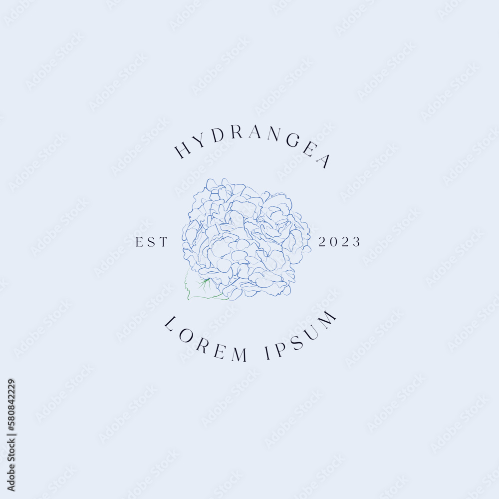 Hand Drawn Hydrangea Outline Vector Flower Logo on Blue Background ...