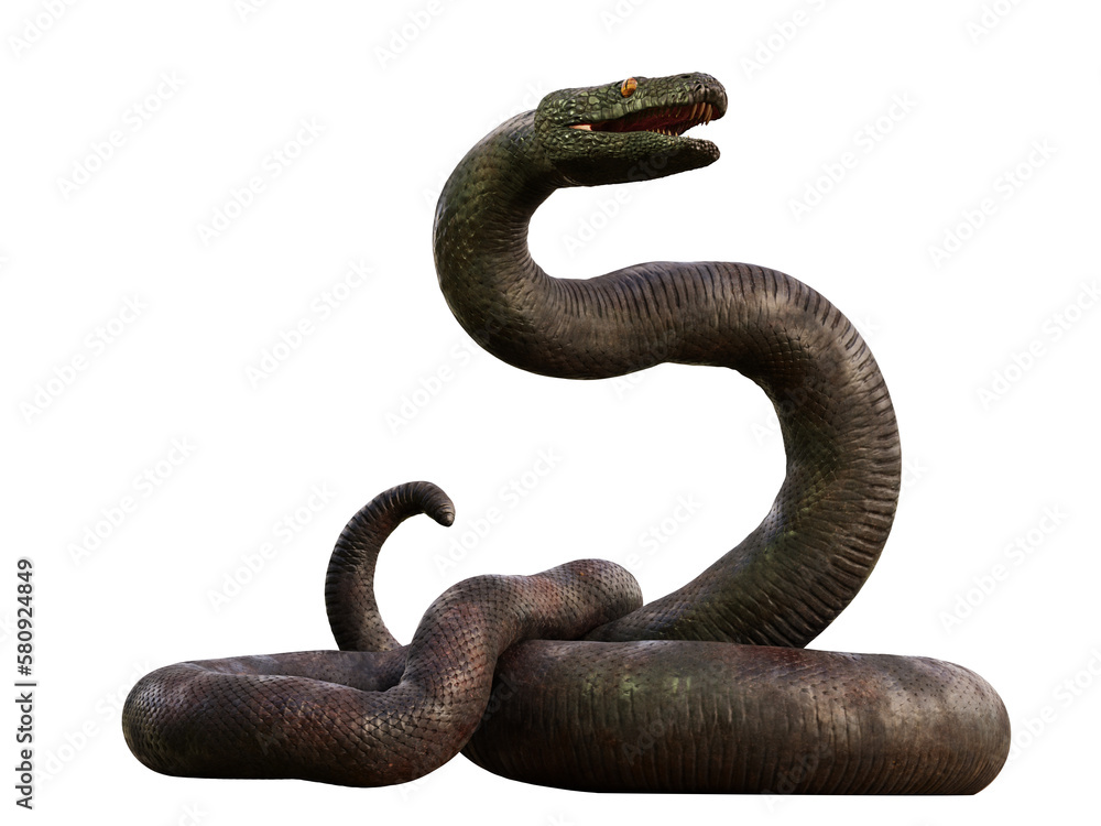 Titanoboa, giantic prehistoric snake, isolated on transparent ...