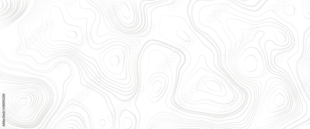 Topographic map and landscape terrain texture grid, abstract white ...