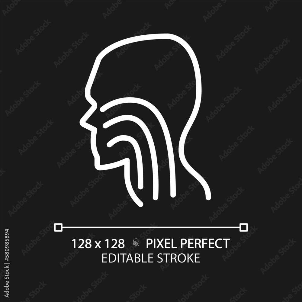 Trachea pixel perfect white linear icon for dark theme. Throat ...