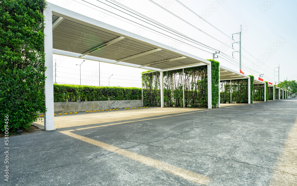 Empty car parking lot with green hedge tree fence. Parking zone on ...