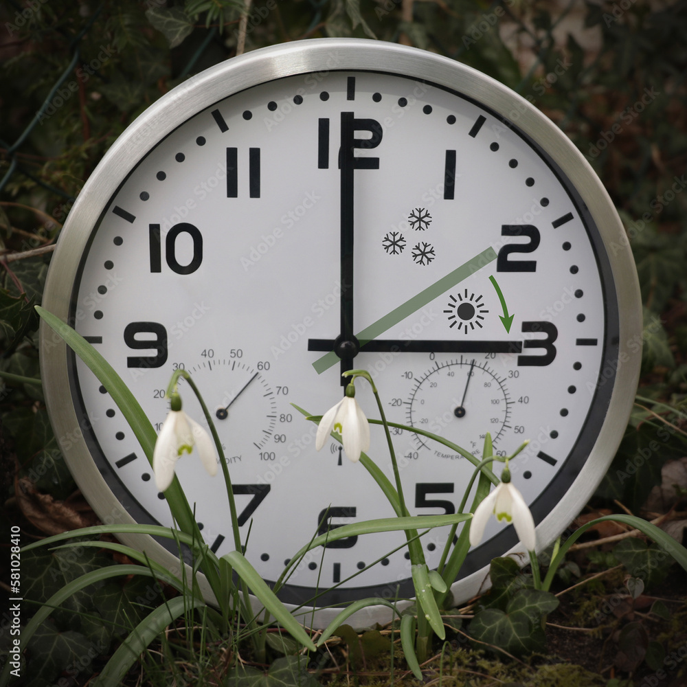 A clock in snowdrops, the gray green hand points to two o'clock, the ...