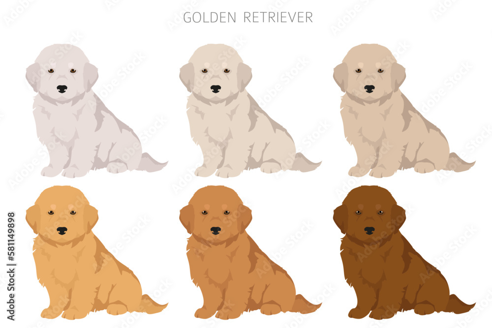 Golden Retrievers Colors