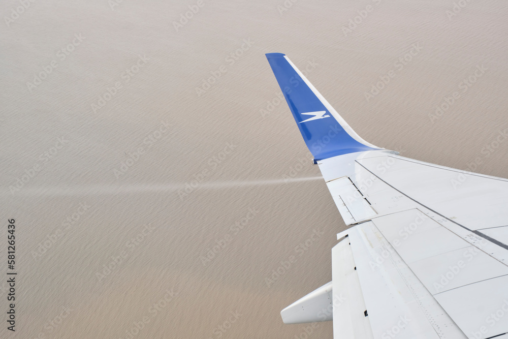 Foto de View from a window of a Boeing 737-700 jet of Aerolineas ...