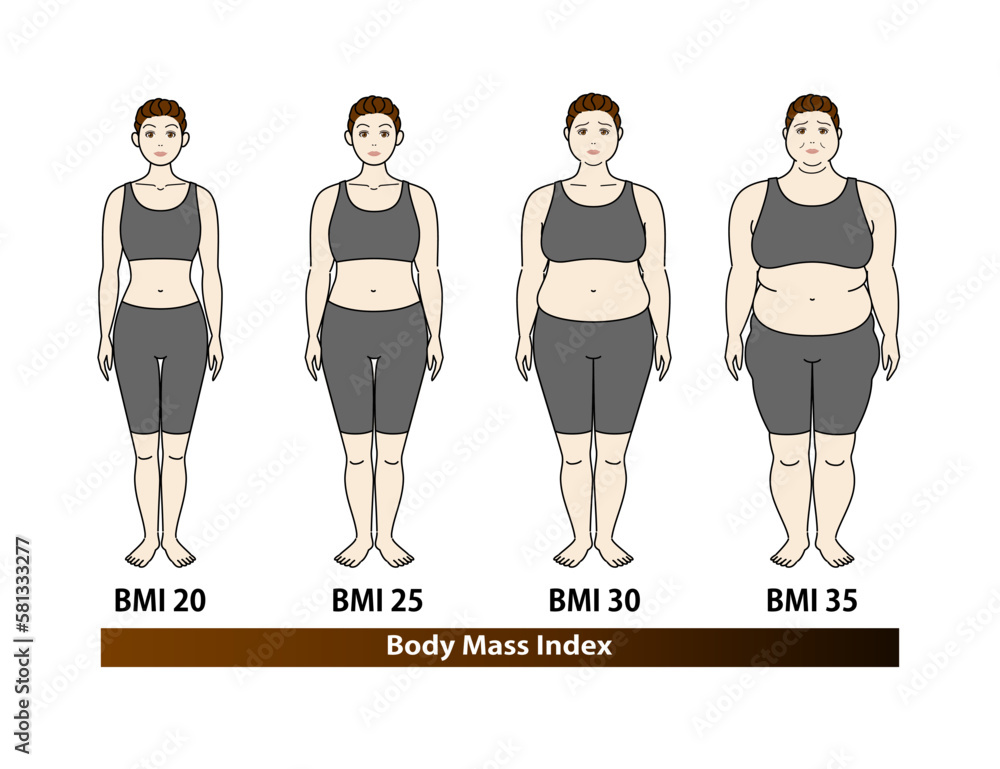 中高年女性のBMI指数による体型の変化 ボディマスインデックス イラスト ベクター Body shape changes in middle-aged woman according to ...