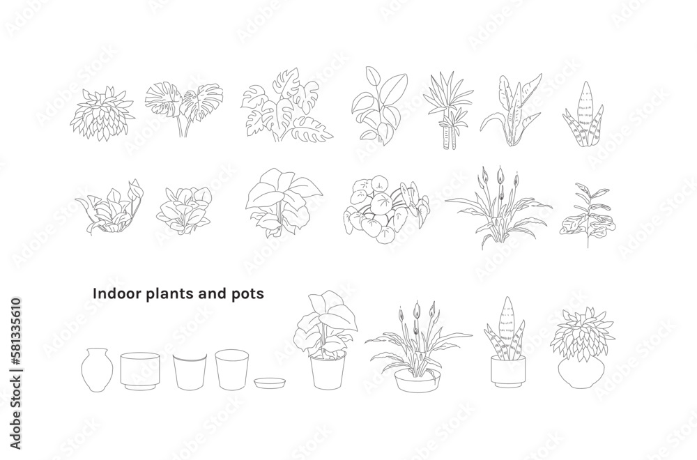 Flat vector Illustration of a foliage plant. indoor plants in pot line ...