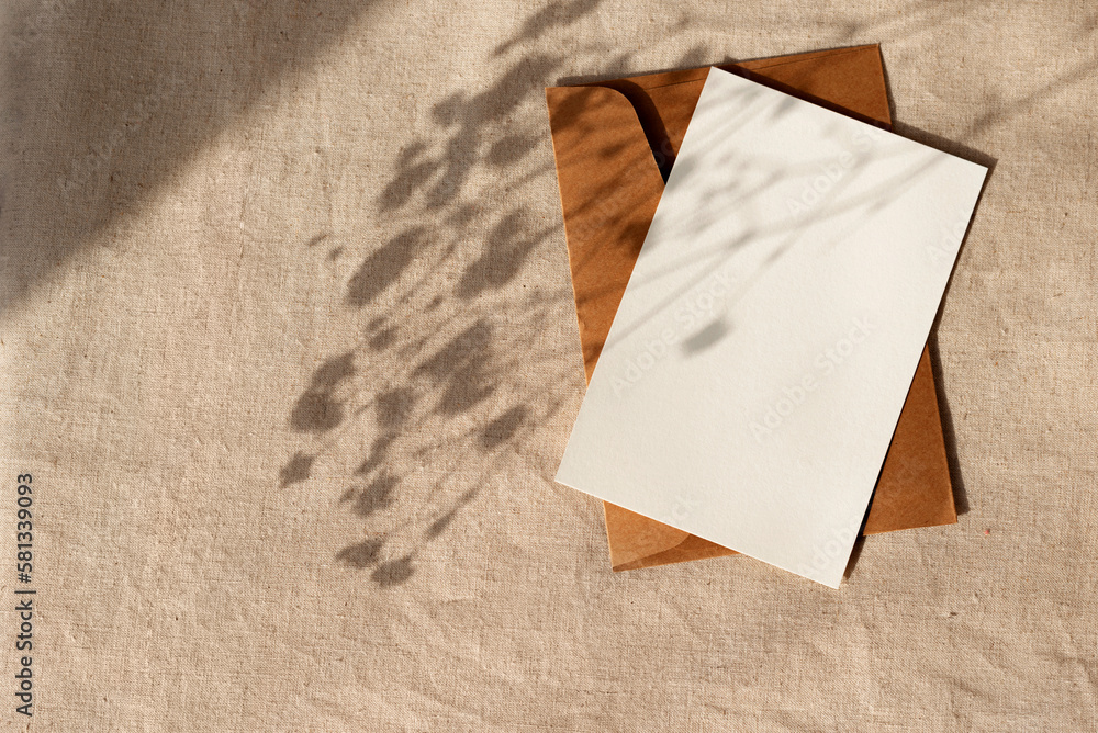 Blank paper sheet card and envelope with hard floral sunlight shadows ...