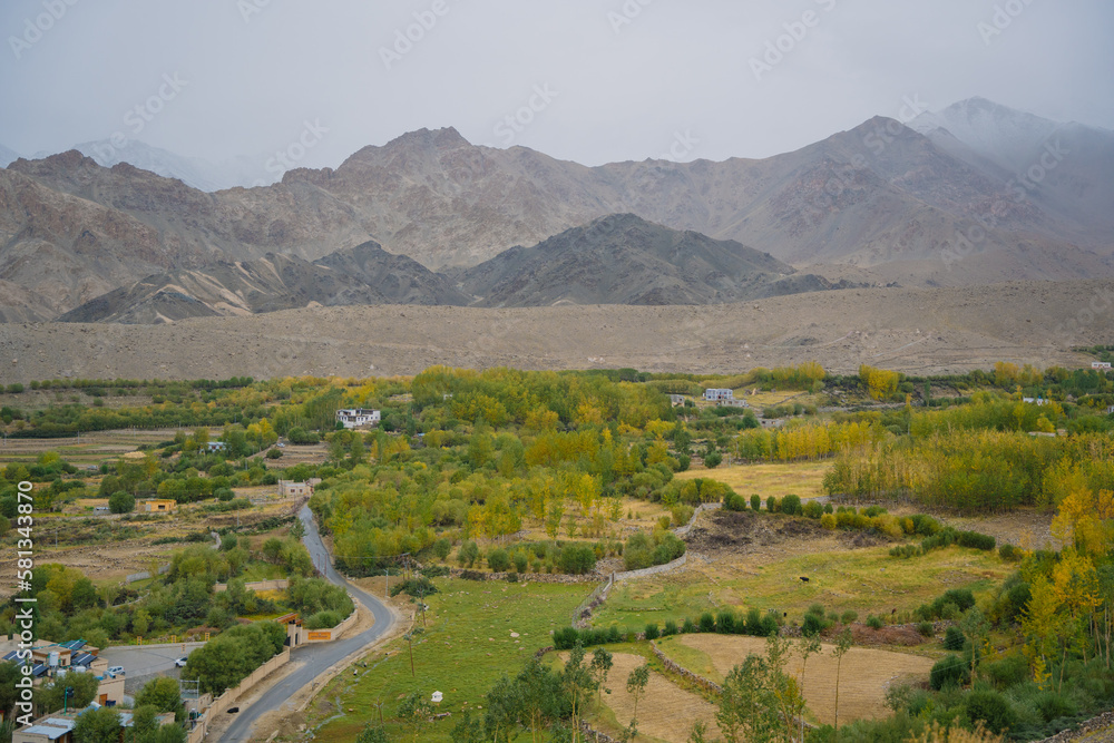 Beautiful landscape with greenery in a village, the background is ...