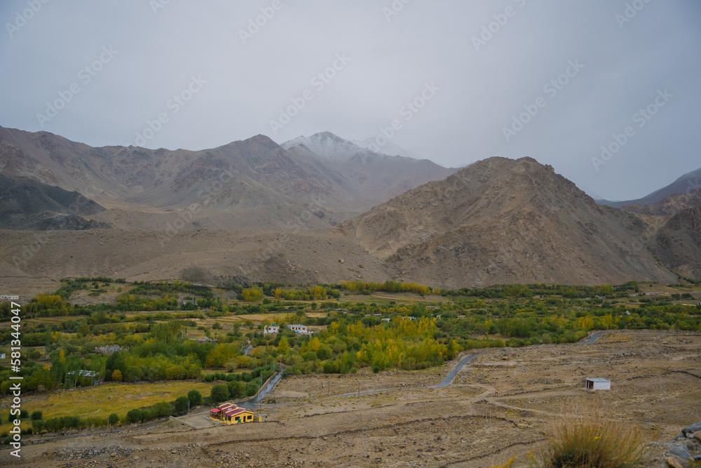 Beautiful landscape with greenery in a village, the background is ...