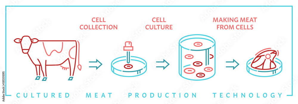 Lab grown meat infographic. Editable vector illustration Stock Vector ...