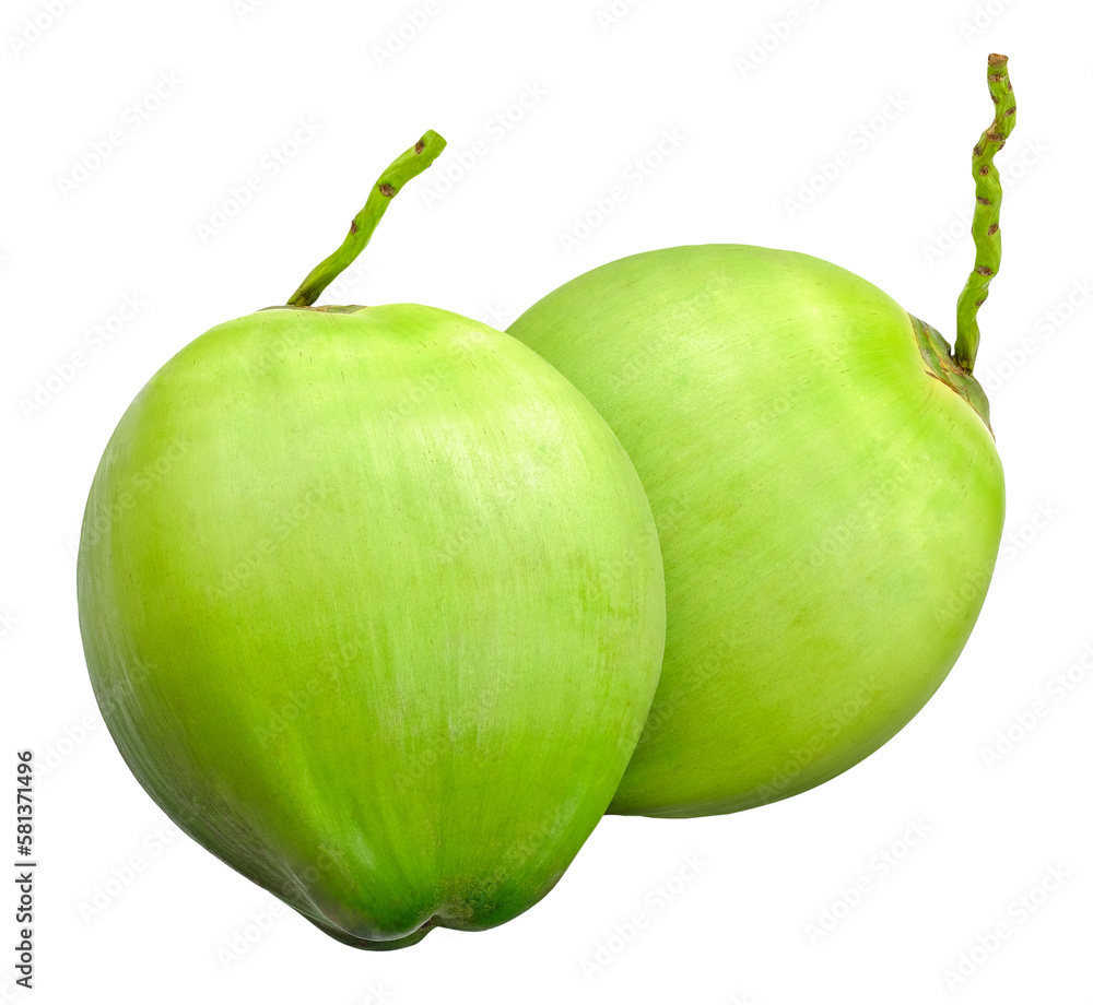 Two green coconut isolated on transparent background, PNG image Stock ...