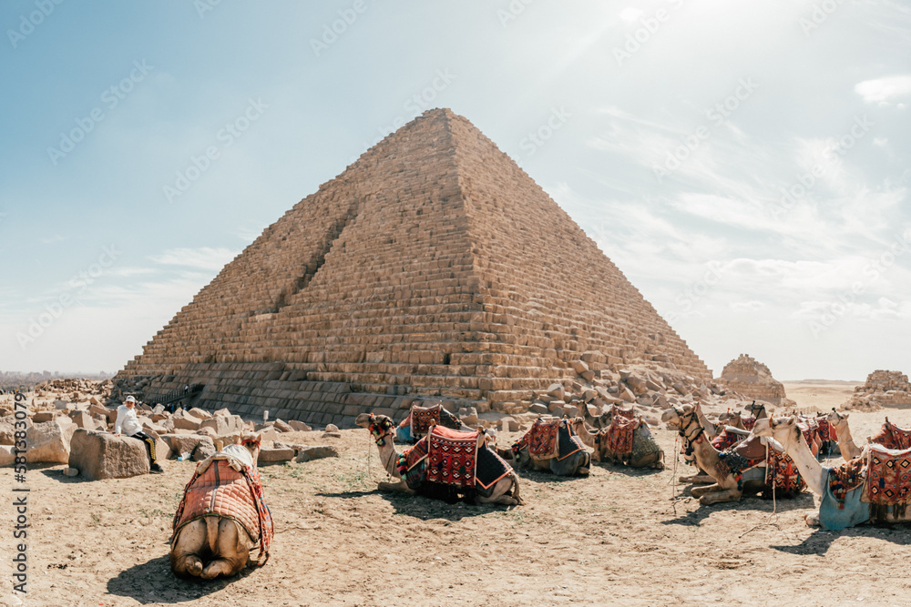Camels and Great Pyramids of Giza, Egypt Stock Photo | Adobe Stock
