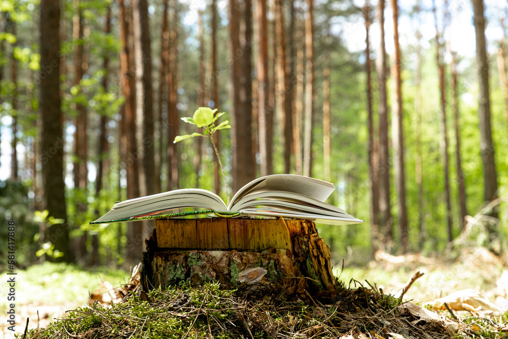 Old book lying on tree stump with blurred forest trees in background ...