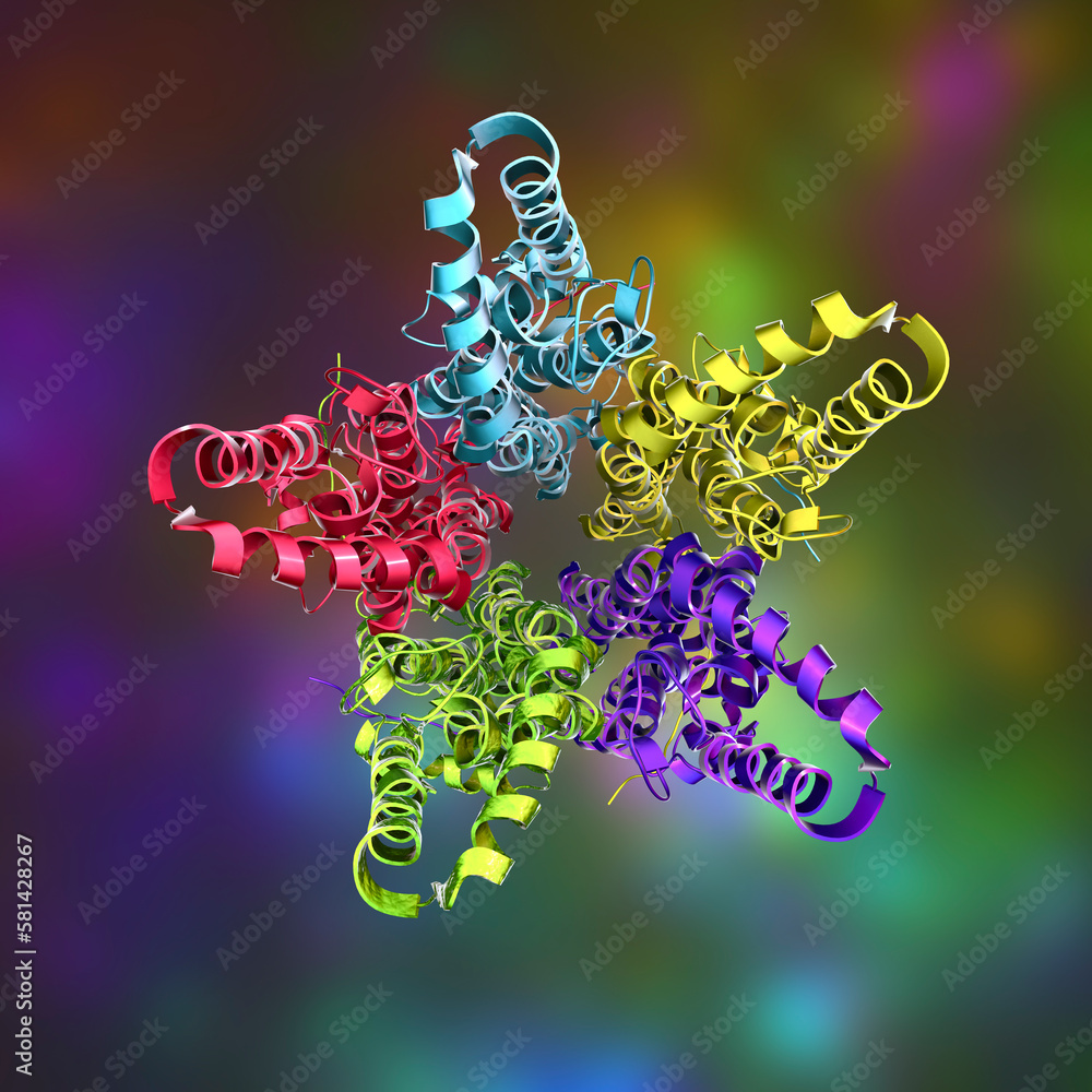 Molecular model of Bestrophin-1 protein Best 1, 3D illustration. A ... Molecular model of Bestrophin-1 protein Best 1, 3D illustration. A ...