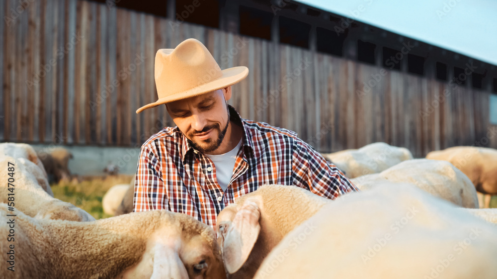 Two Caucasian males shepherds riding down fock of sheep over fence and ...