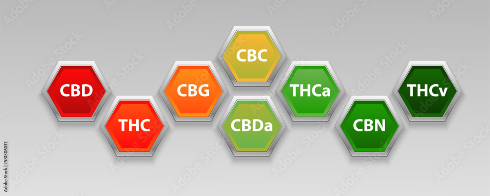 Vetor de Cannabinoid Guide infographic chart. show main compound ...