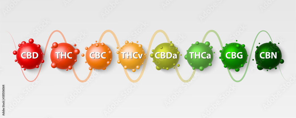 Cannabinoid Guide infographic chart. show main compound cannabinoid from cannabis, hemp ...