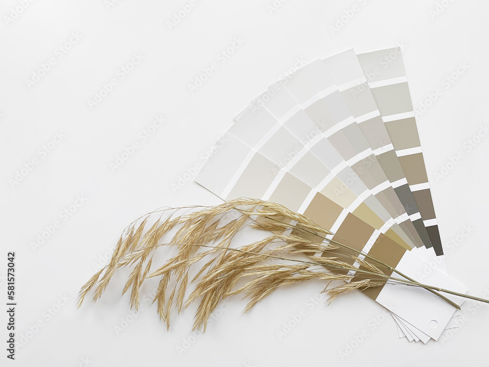 Concept: nature inspires colors. Paint samples for decorating and ...