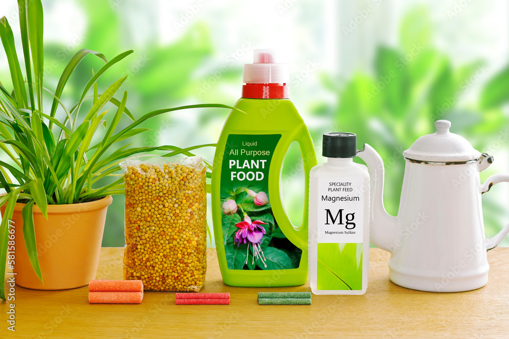 Different indoor fertilizers: fertiliser sticks or spikes, granules ...