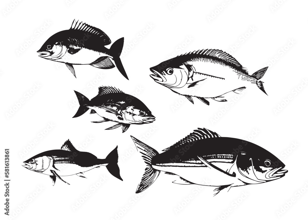 Transparent Yellowtail Vector Sheet, Yellowtail fish, Yellowtail ...